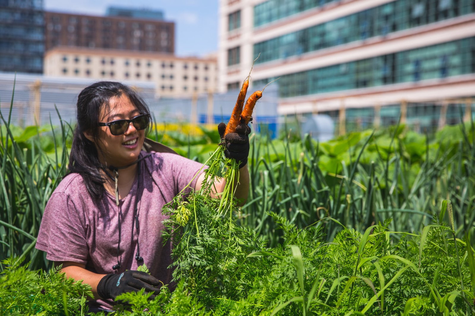 Culture of Sustainability - Toronto Biosphere Eco-City