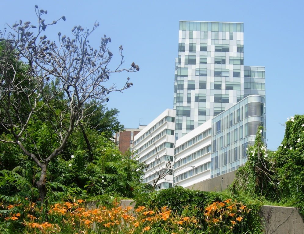 About - Toronto Biosphere Eco-City