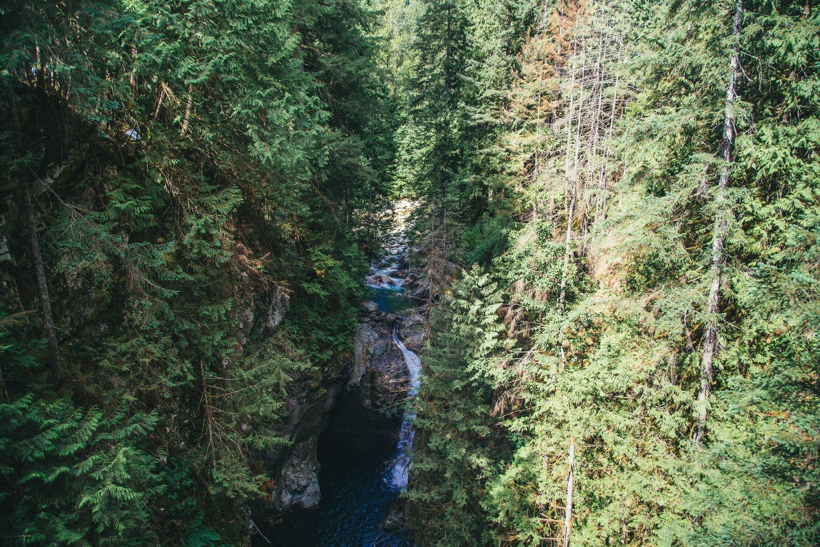 Biome - Toronto Biosphere Eco-City