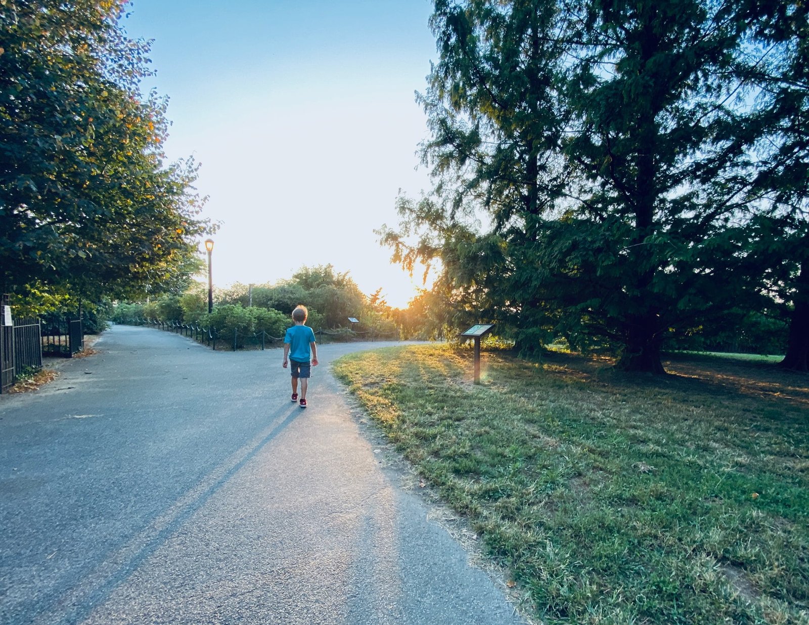 Sustainable Cities Through Planning - Toronto Biosphere Eco-City