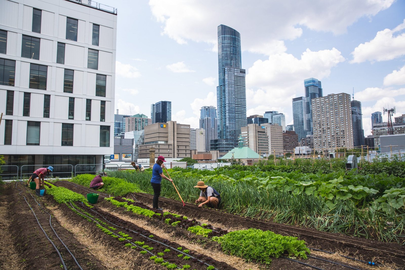 Toronto Biosphere Eco-City