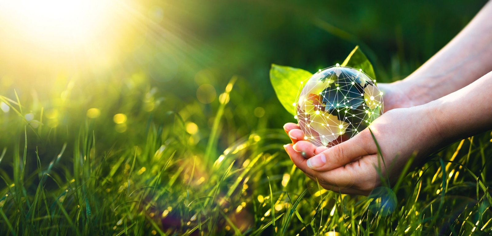 Natural Capital - Toronto Biosphere Eco-City